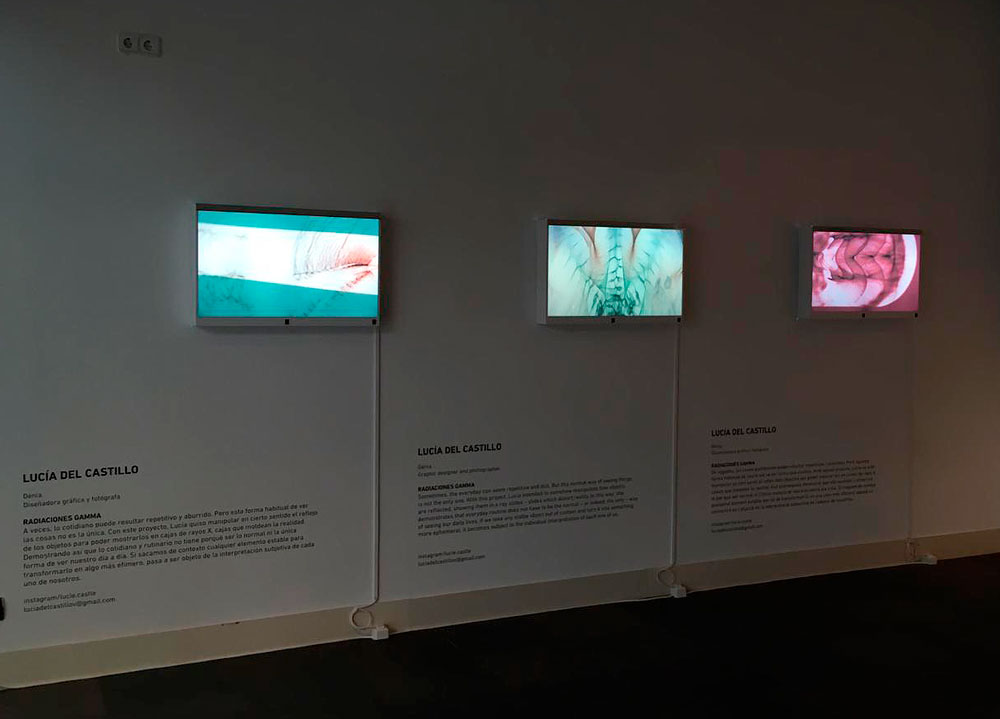 Lucía Del Castillo, artista: “L’obra que expose en Escapararte és una ...