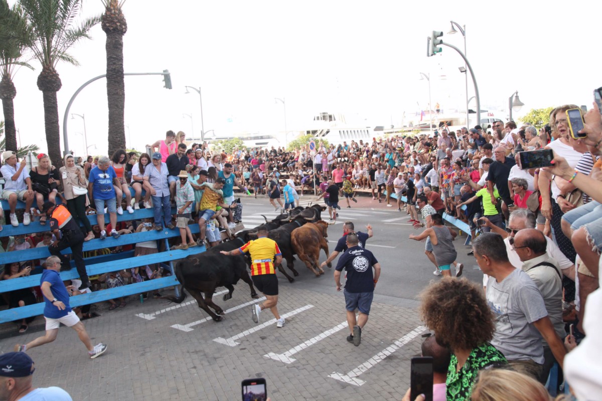 Fotogaleria de la primera entrada de Bous a la Mar de Dénia