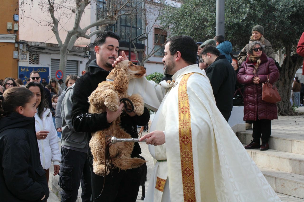 Un Sant Antoni amb benedicció d’animals però sense foguera a Ondara