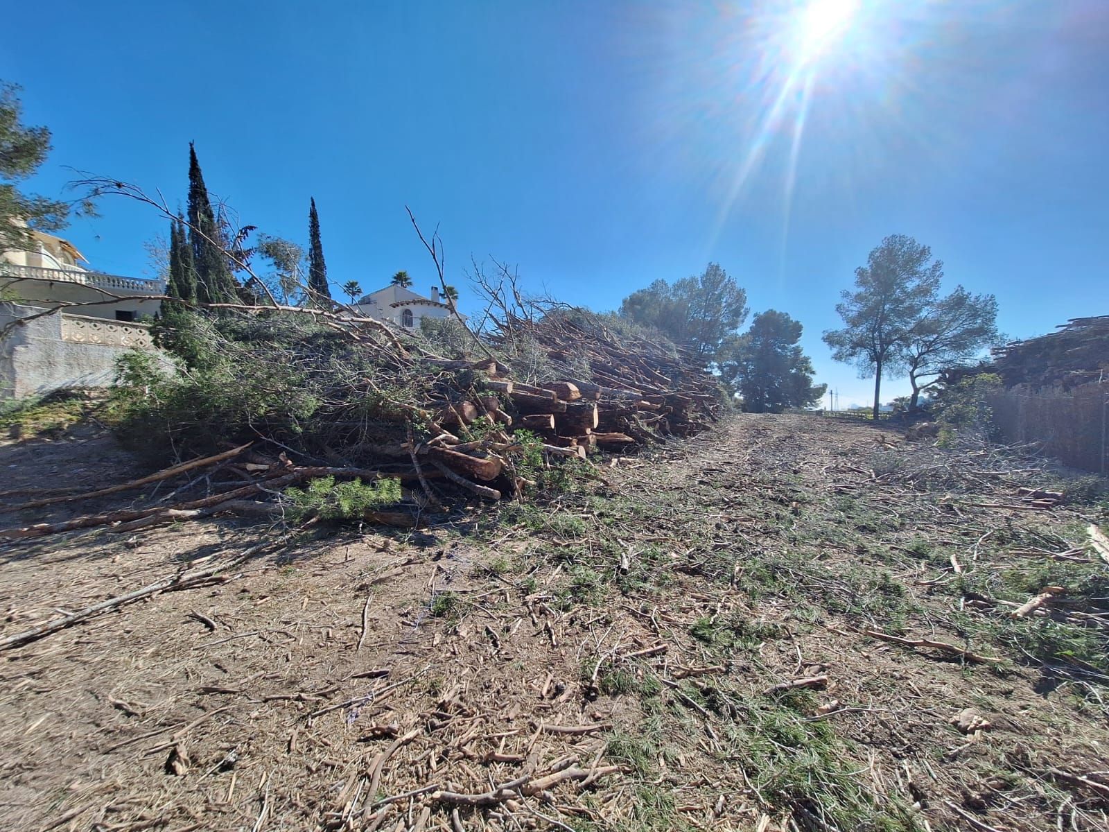 Un cortafuegos de 35 metros de anchura para evitar incendios forestales ...