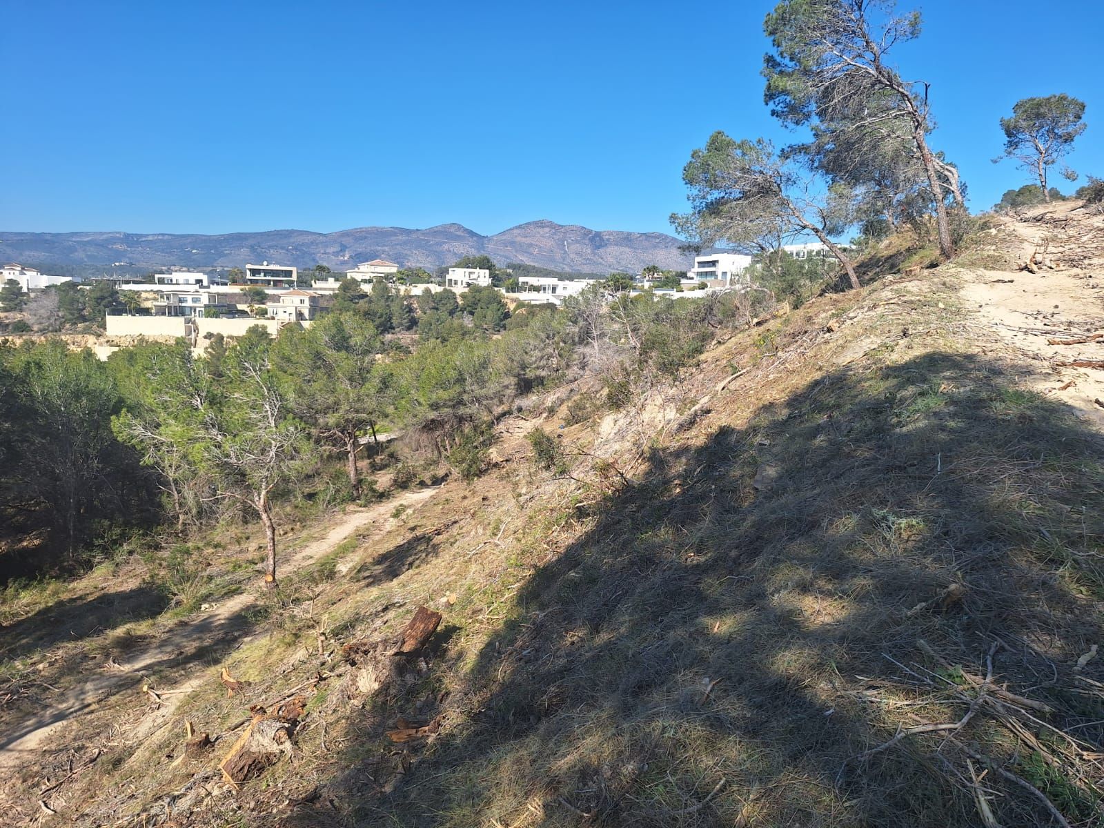 Un cortafuegos de 35 metros de anchura para evitar incendios forestales ...